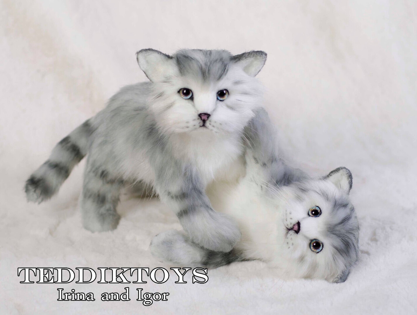 Kitten , cat, cat Teddy, Teddy, Kitten, author\'s work ( made to...