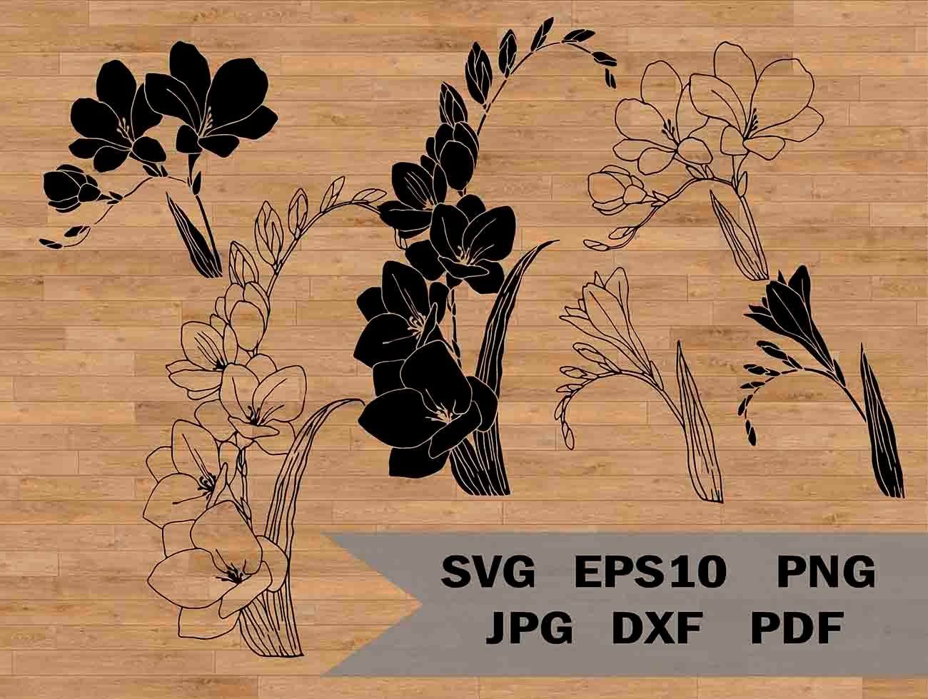 Freesia template svg, Tropical flowers svg, SVG files for...